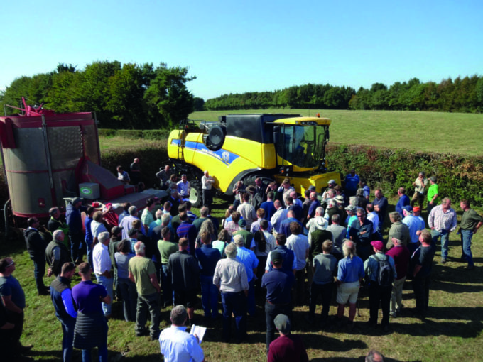 Auctions - Process - Lambert & Foster