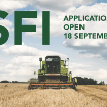 SFI - Applications open from 18 September - Lambert & Foster