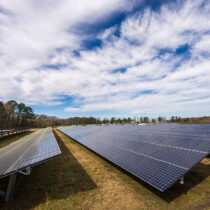 Improving Farm Productivity Grant – Now Open - Lambert & Foster